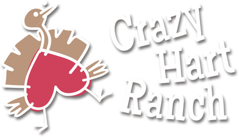 Welcome to Crazy Hart Ranch
